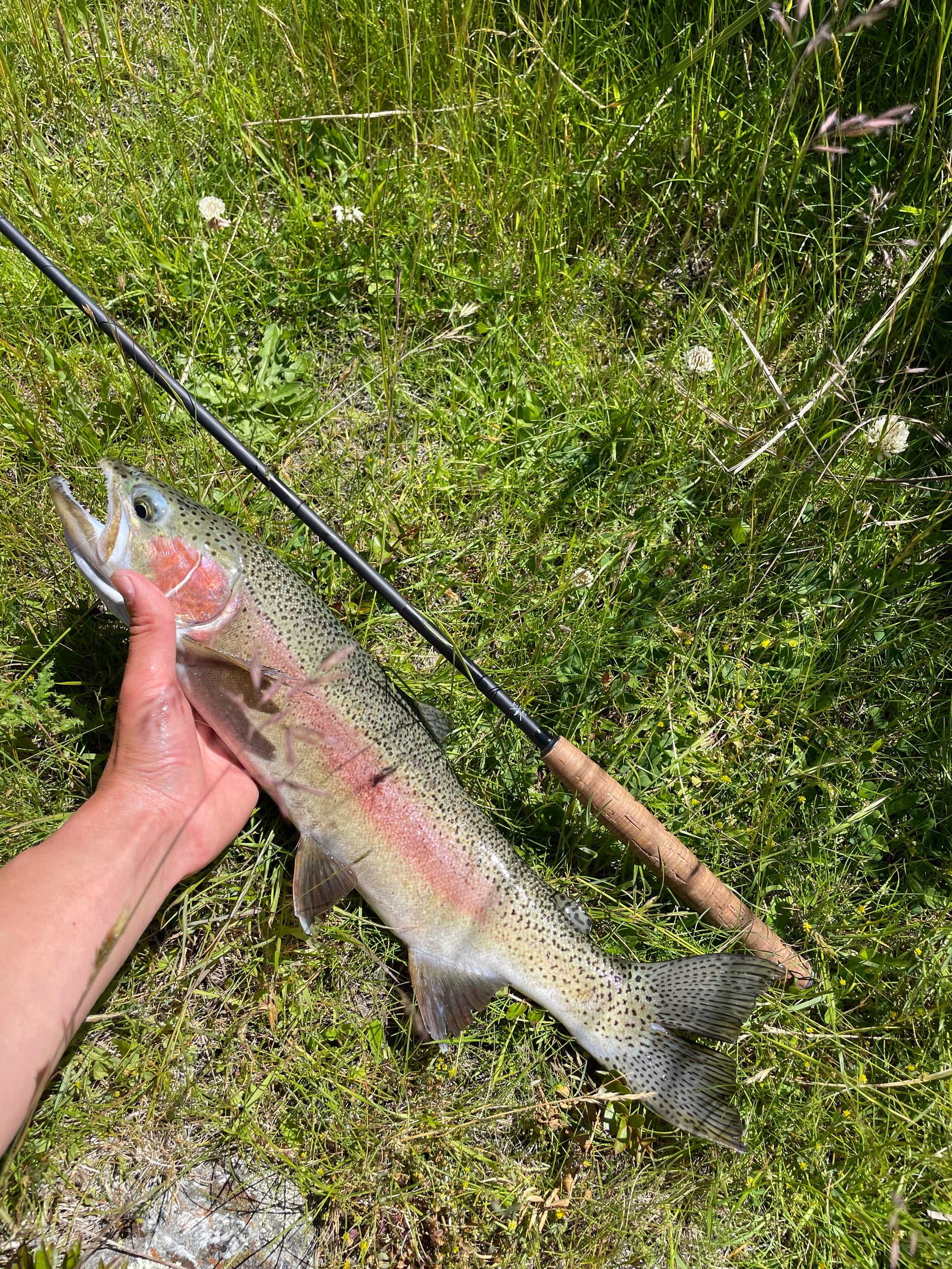 Tiny Ten 2 – Tiny Tenkara