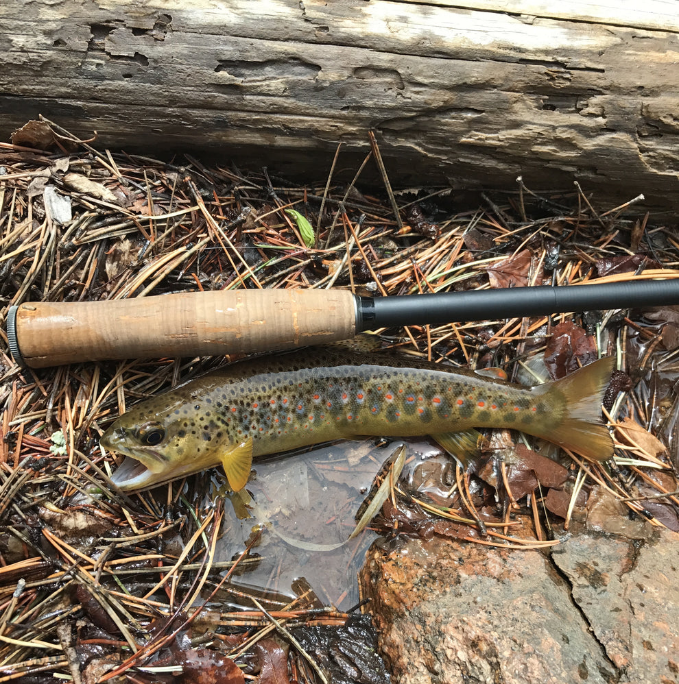 Tiny Ten – Tiny Tenkara